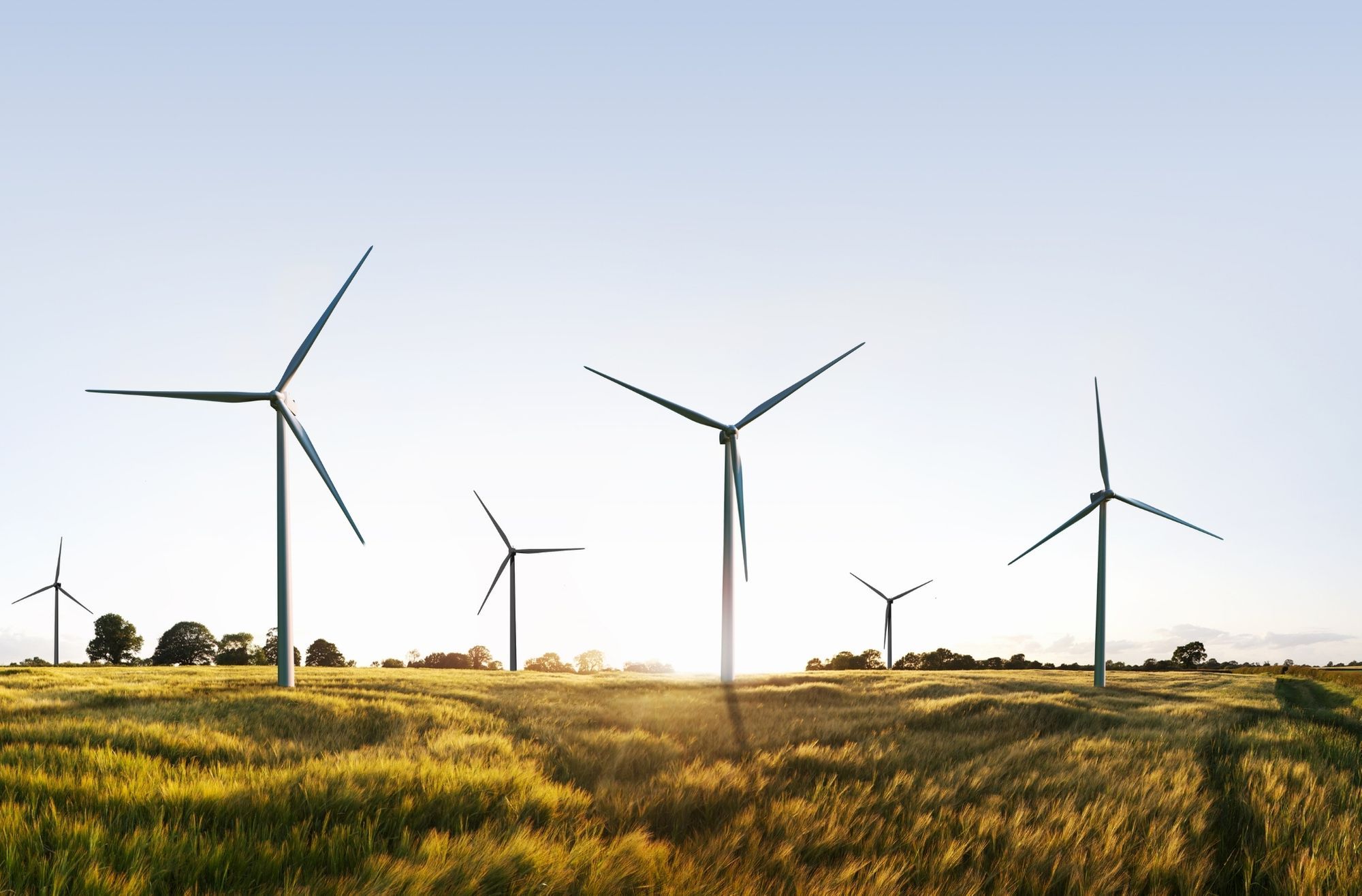 Overview of the Emerging Sustainable Energy Sector in Germany